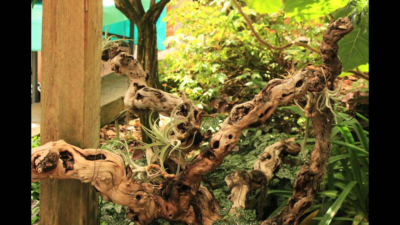 Devonian Garden , Devon Alberta Jun 07 2015 By Ha Trang Jun 22 2015 ...