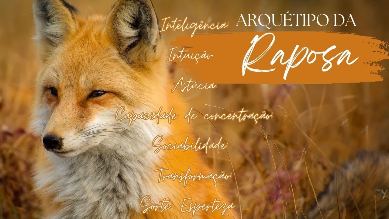 🦊ARQUÉTIPO DA RAPOSA - [ATIVAÇÃO] - INTELIGENCIA, INTUIÇÃO, ASTÚCIA ...