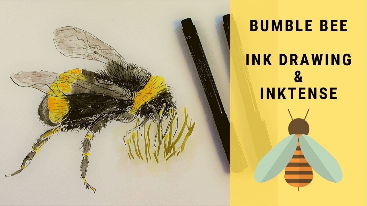 Bumblebee ink drawing with Derwent Inktense blocks. Including some ...