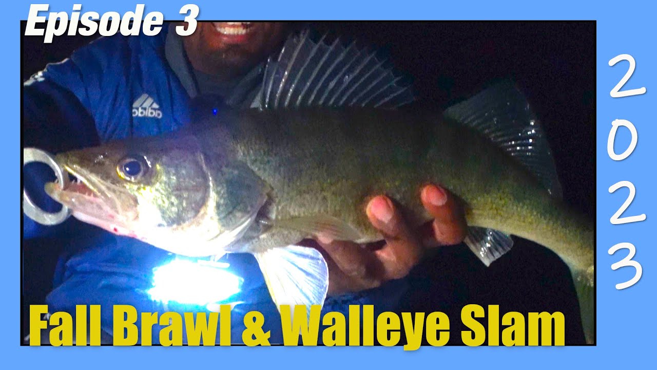Hooked on Night Walleye: Fall Brawl Tournament Walleye Fishing from ...