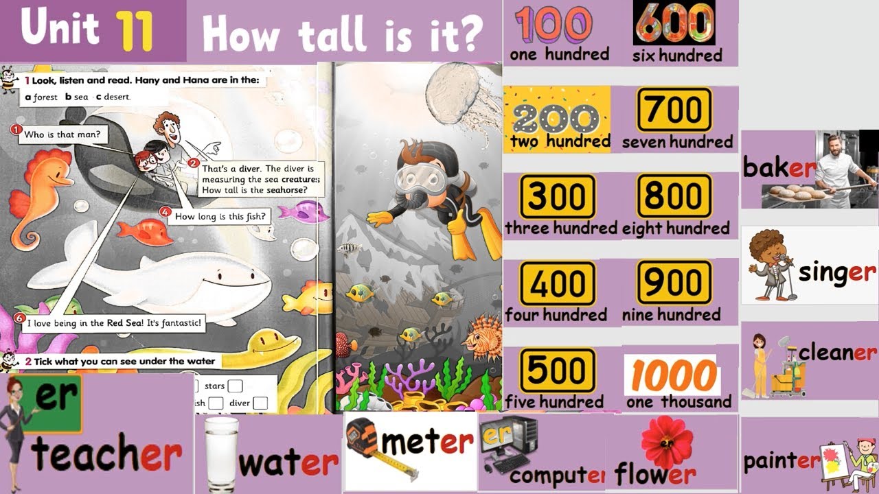 Connect - Primary 3 | Unit 11 - Term 2 | الصف الثالث الابتدائي - الفصل الدراسي الثاني - YouTube