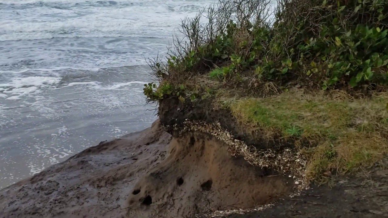 Shell midden at the Oregon Coast - Native American history - YouTube