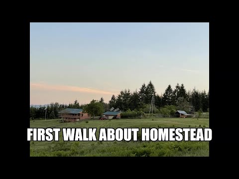 First Walk About The Homestead - YouTube