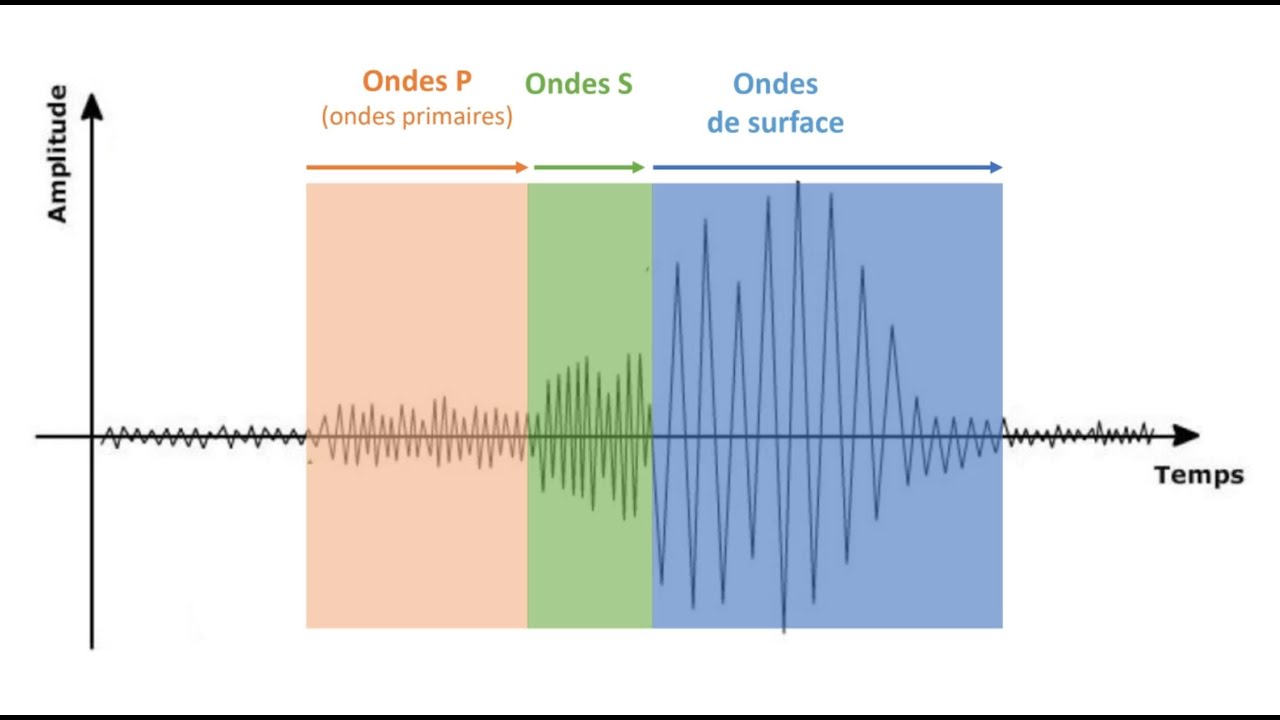 1ère spécialité SVT - L'origine des séismes et les ondes sismiques ...