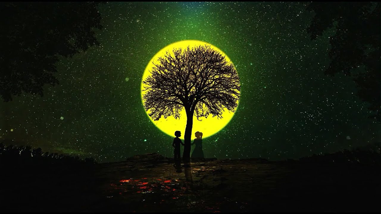 Free Couple Loop Background Video HD No Copyright | Love Couple ...
