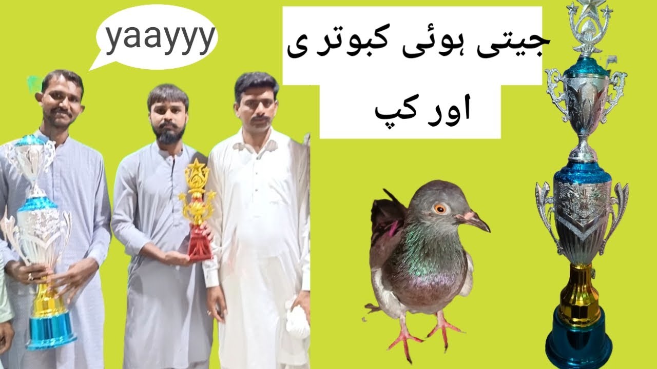 2024 ,47°c... Hamari kabootari Win kr gai - YouTube