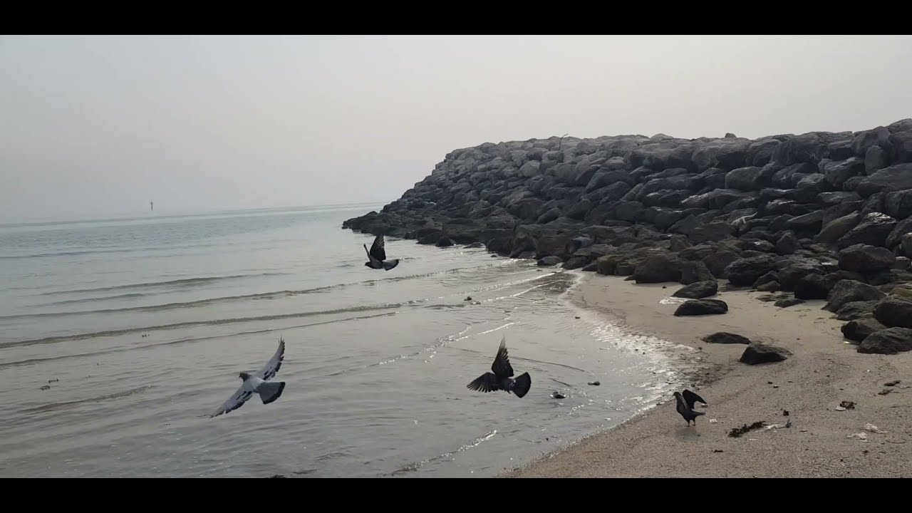 Fahaheel beach Kuwait - YouTube
