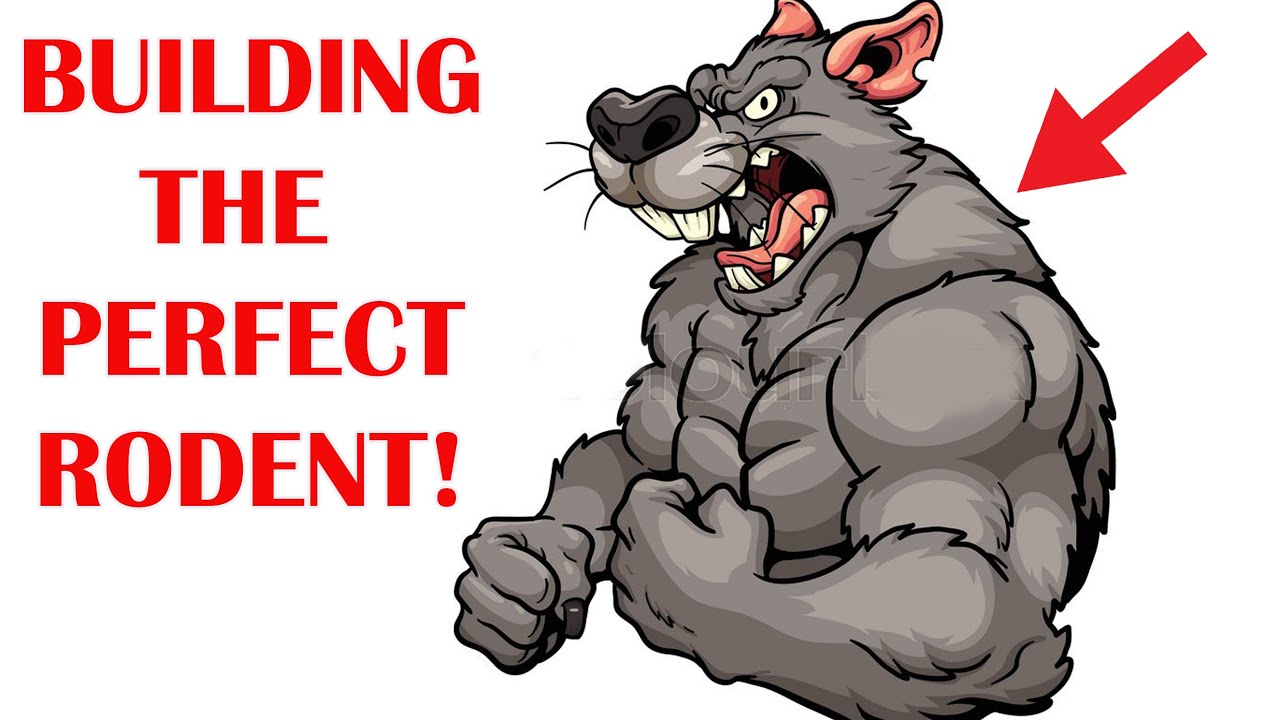 WANT TO JACK UP YOUR RODENTS? TRY ADVANTAGE HEALTH's RODENT FEED! - YouTube