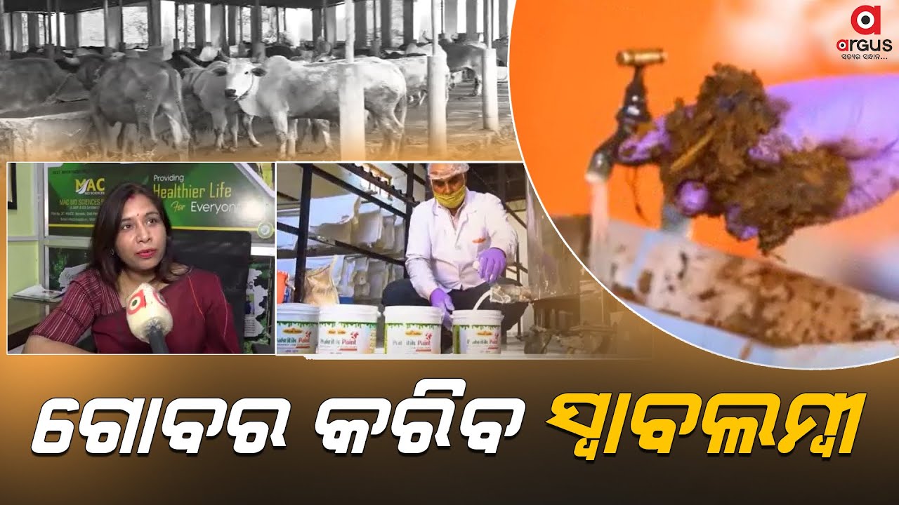 Eco friendly and Cheap Colors from Gobar or Cow Dung - YouTube