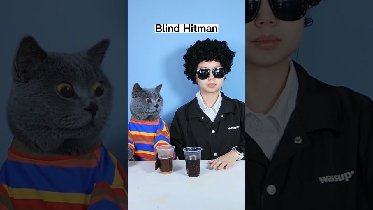 When You're A Hitman But You're Blind 🤪😨| Funny Cat TikTok #funnycat # ...