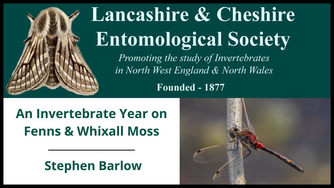 An Invertebrate Year on Fenns & Whixall Moss by Stephen Barlow - YouTube