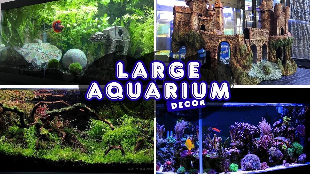 101+ Large Aquarium Decoration Ideas 2025 – Big Fish Tank Decor and ...