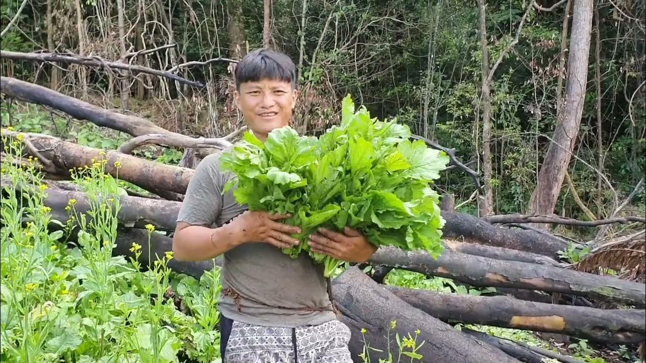 kuv tu txiv tsev pab de zaub rau kuv e muam ntxawm wb yuav mu tsev - YouTube