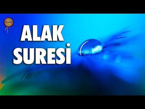 Alak Suresi سورة العلق | Yaratan Rabbinin Adıyla Oku | Ali Turan