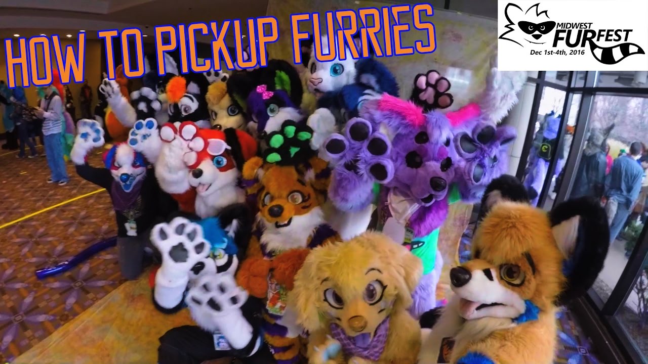 How to pickup furries - MFF 2016 - YouTube