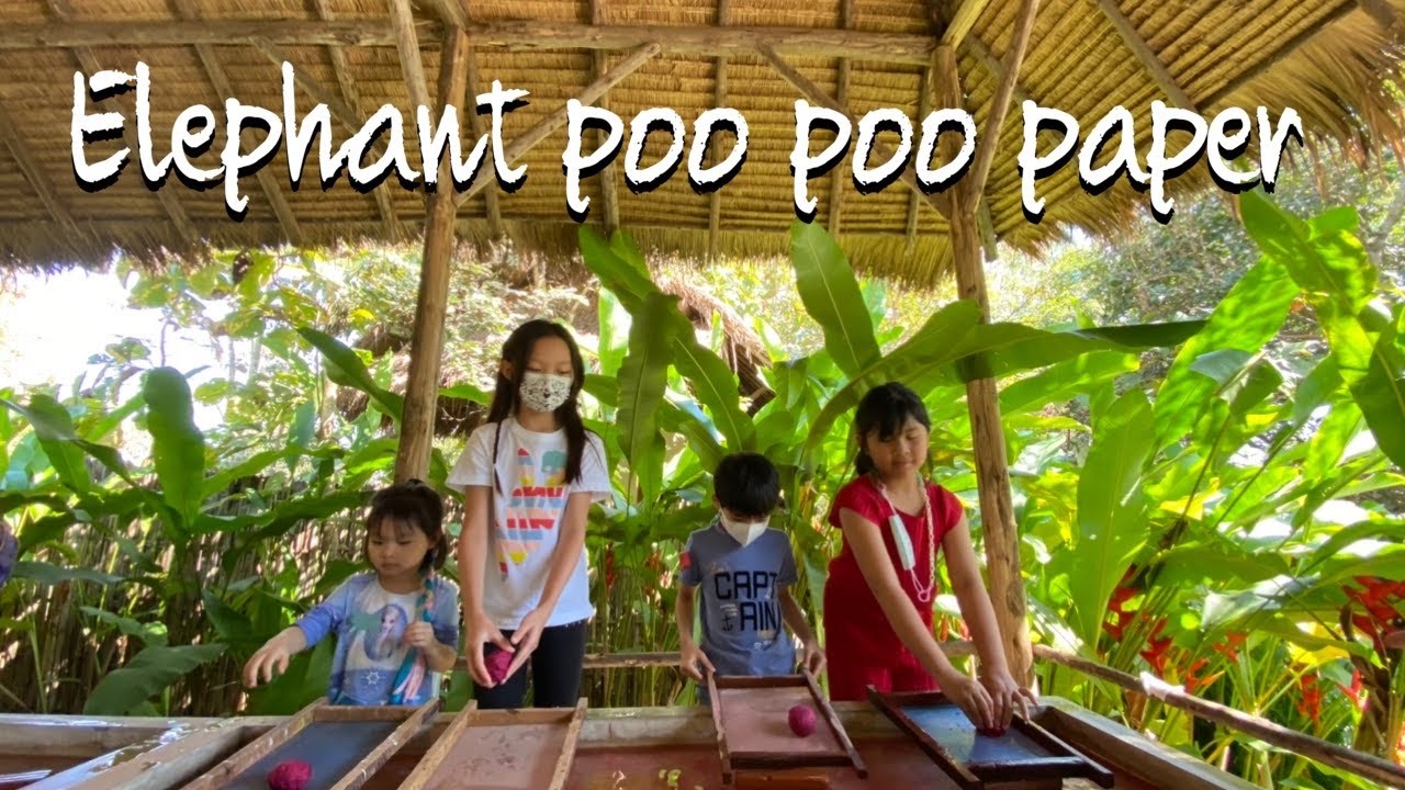 Elephant poo poo paper - YouTube