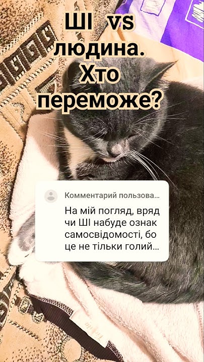 Штучний інтелект проти людини україна Cat штучнийінтелект розум