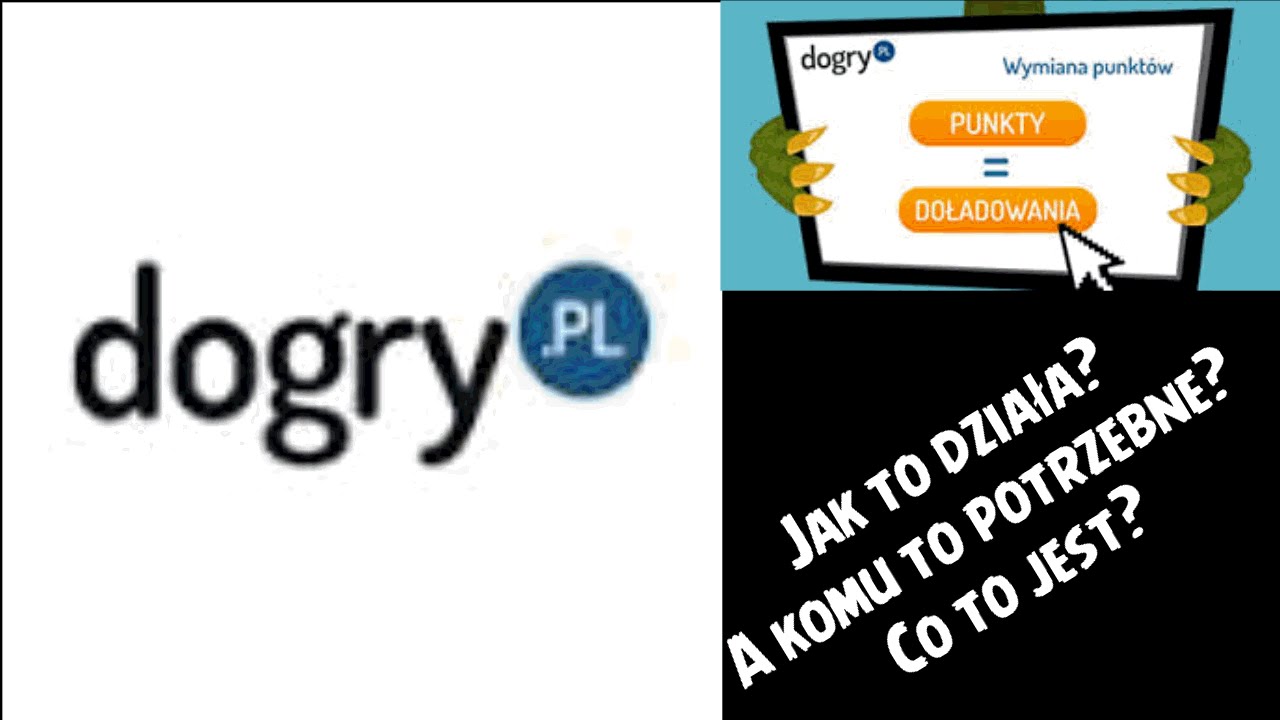 dogry.pl - Jak działa? Po co jest? - YouTube