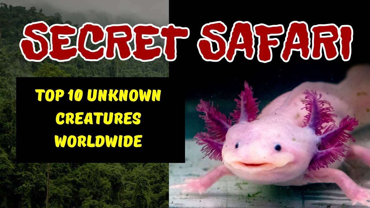 Top 10 Unknown Creatures Worldwide - YouTube
