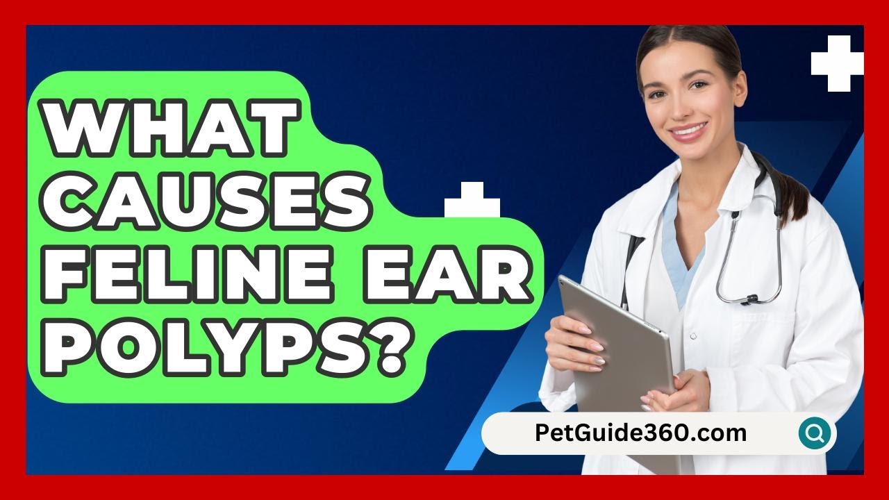 What Causes Feline Ear Polyps? - PetGuide360.com - YouTube