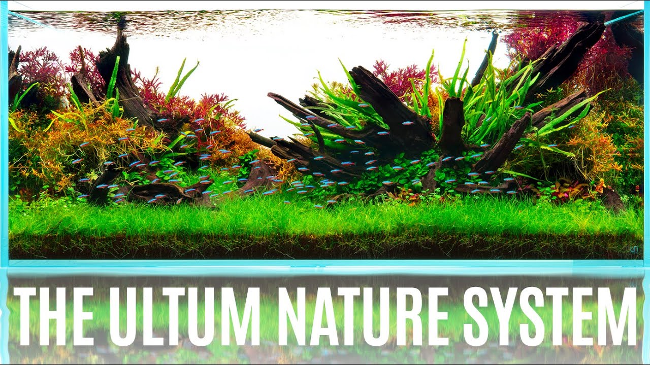 Patents – Ultum Nature Systems