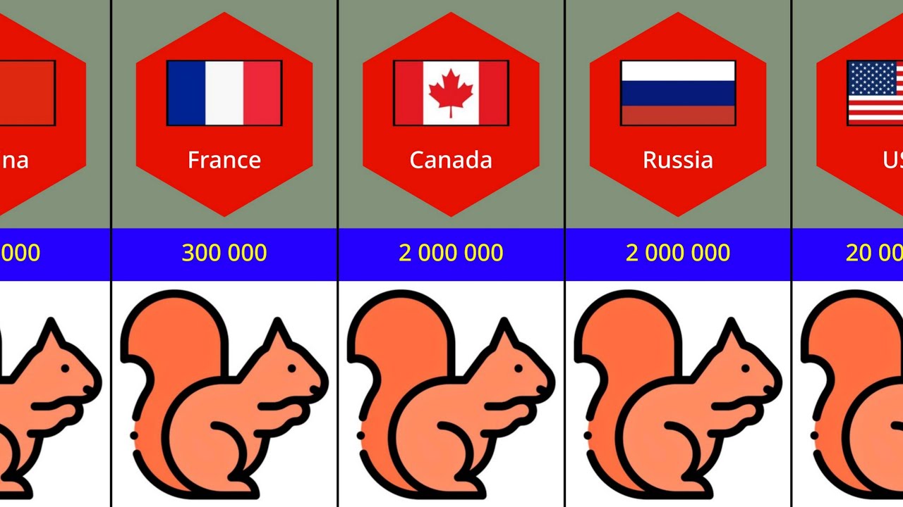 Red Squirrel Population By Country - YouTube