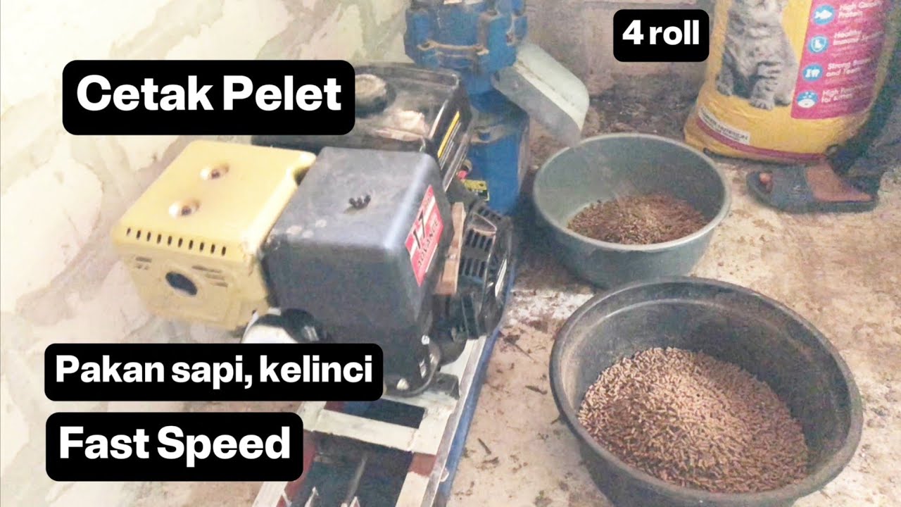 Membuat Pelet Untuk Pakan Sapi dan Kelinci - YouTube