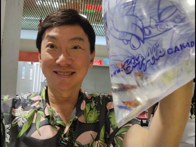 Peter Suk's Instagram, Twitter & Facebook on IDCrawl