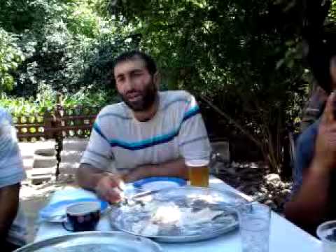 shok shok, HAYTALI  BORCALI
