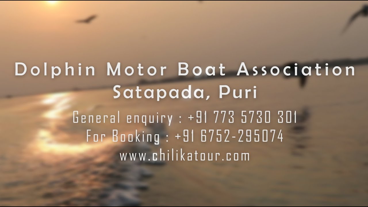 Satapada Boating - Dolphin Motor Boat Association - YouTube