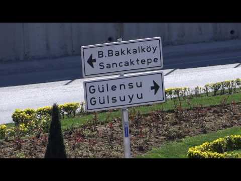 İstanbul Başıbüyük Orman Gezim Mis Çam Kokusu Huzur