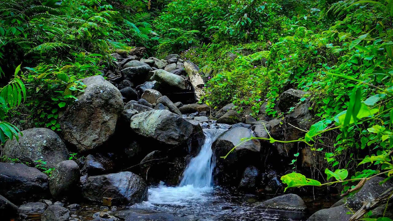 The Clear and Peaceful Sound of the Flat River, the Beautiful Sound of ...