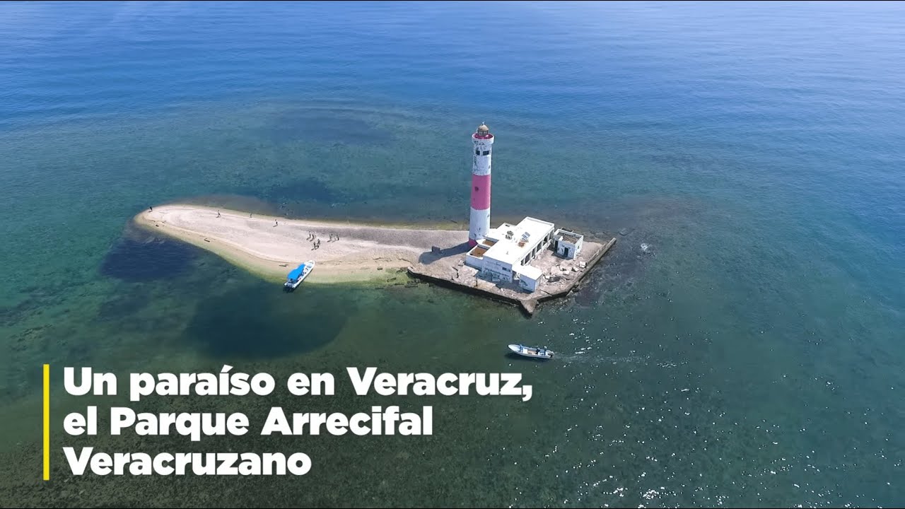 Un paraíso en Veracruz, el Parque Arrecifal Veracruzano. - YouTube