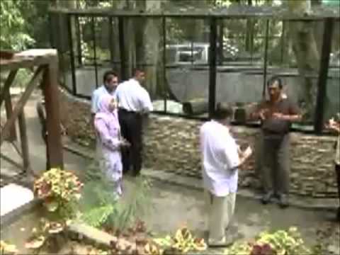 perlis snake farm - YouTube