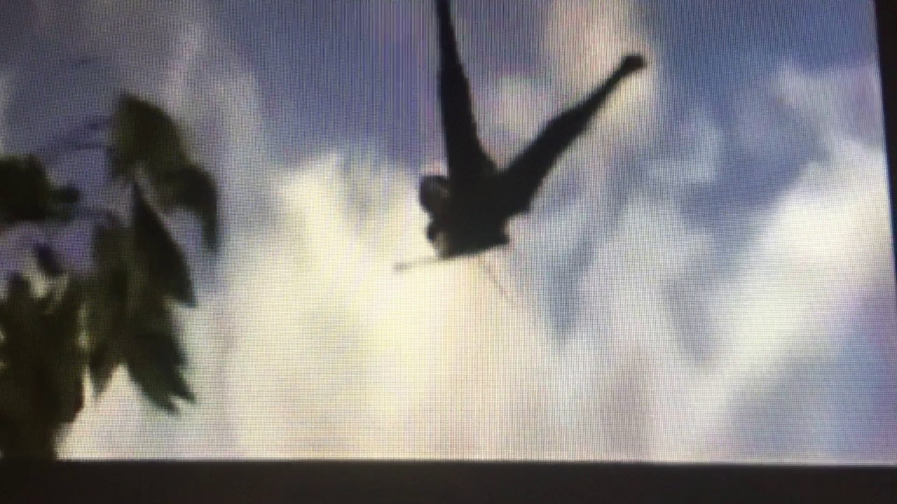 CARMEN ELECTRA'S REVENGE WITH ROB SANDHU - YouTube