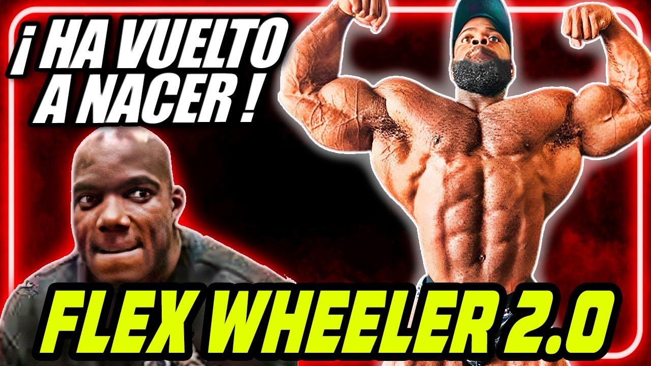 Flex Wheeler ha renacido El nuevo rey de la estética llega a nuestra ...