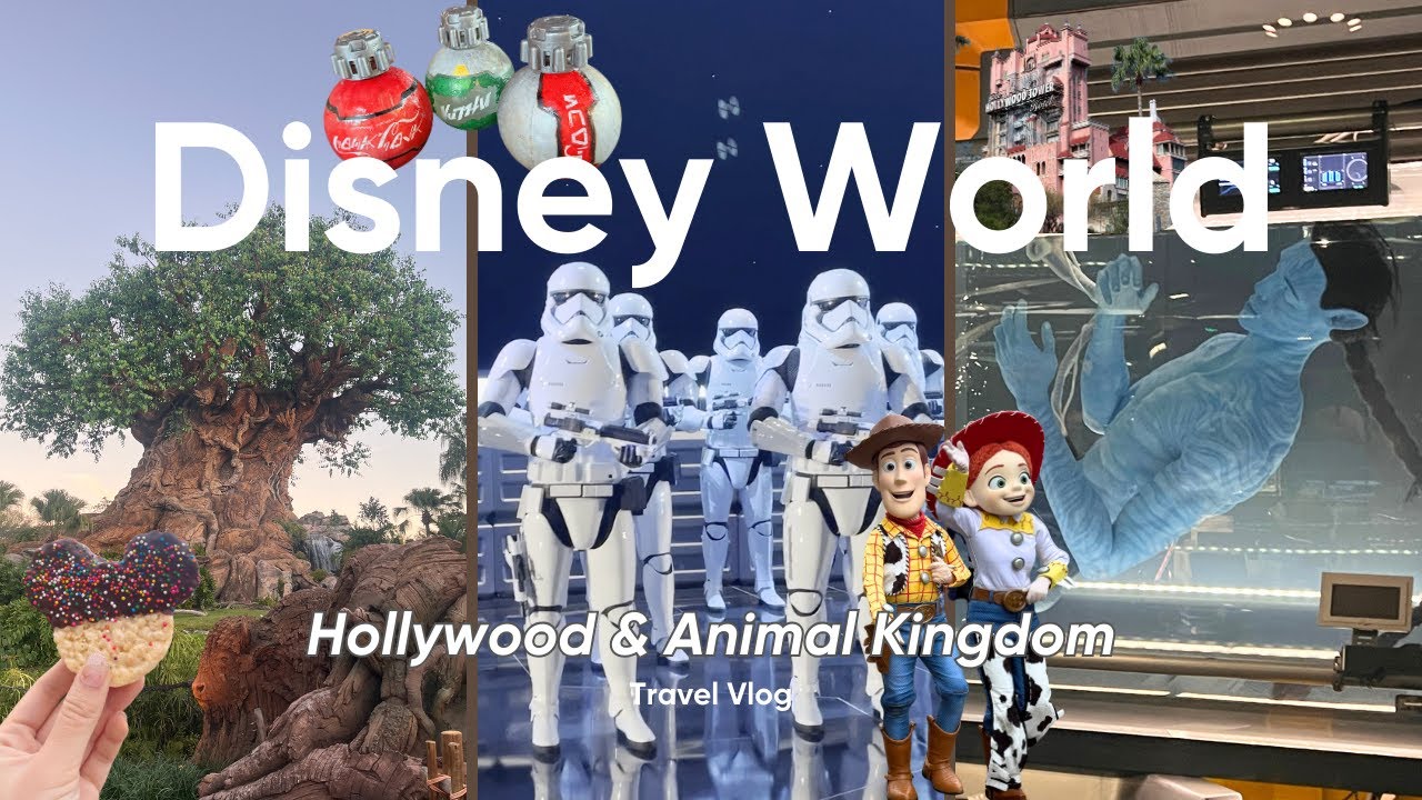 Disney World Vlog Pt 2 | Hollywood Studios & Animal Kingdom (Star Wars ...
