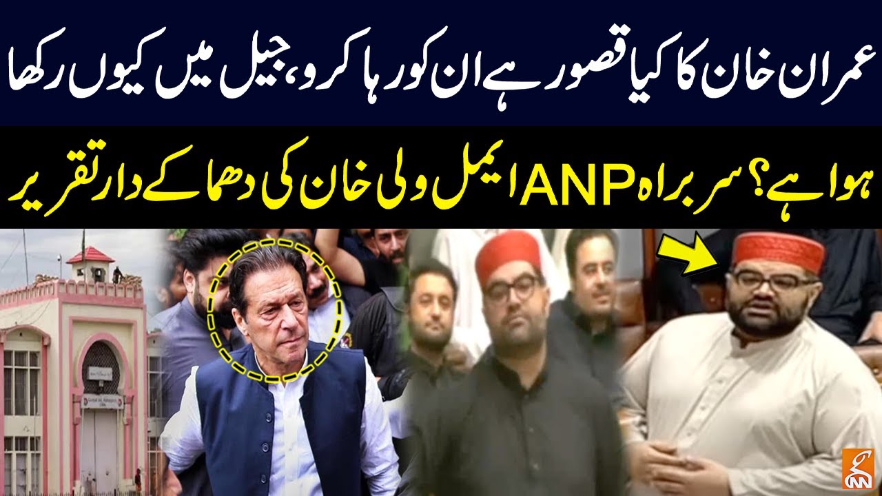 Release of Imran Khan? Aimal Wali Khan Fiery Speech | Aimal Wali Khan ...