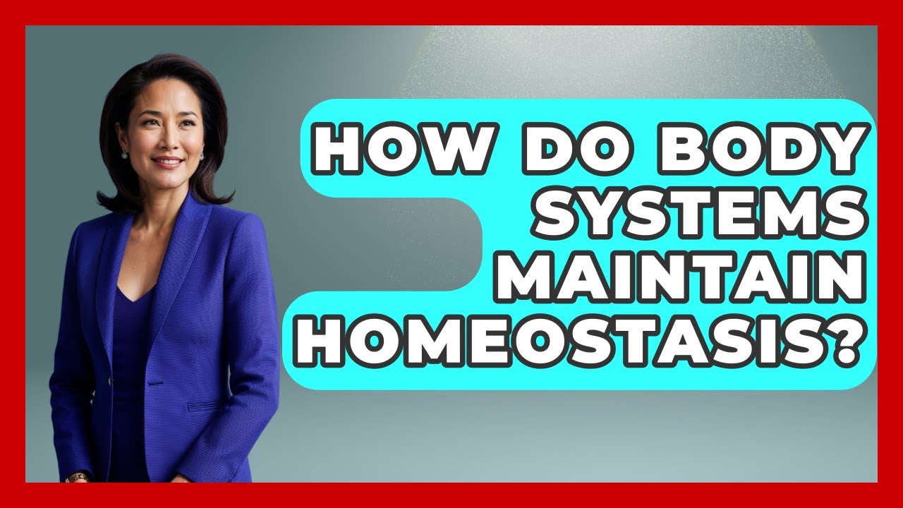 How Do Body Systems Maintain Homeostasis? | All About Anatomy Answers ...