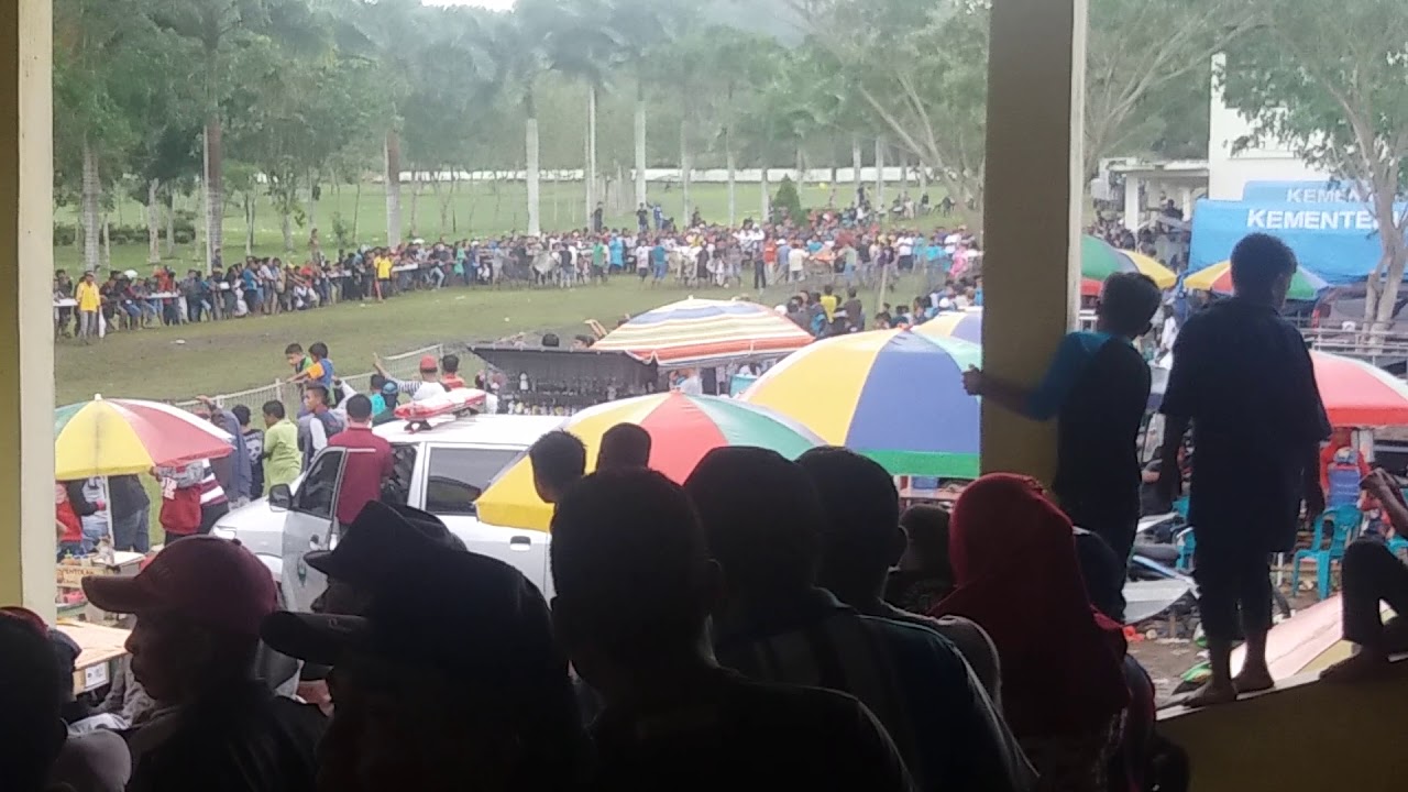 Gabunngan 100 meter.... karapan roda sapi yosonegoro, gorontalo. - YouTube