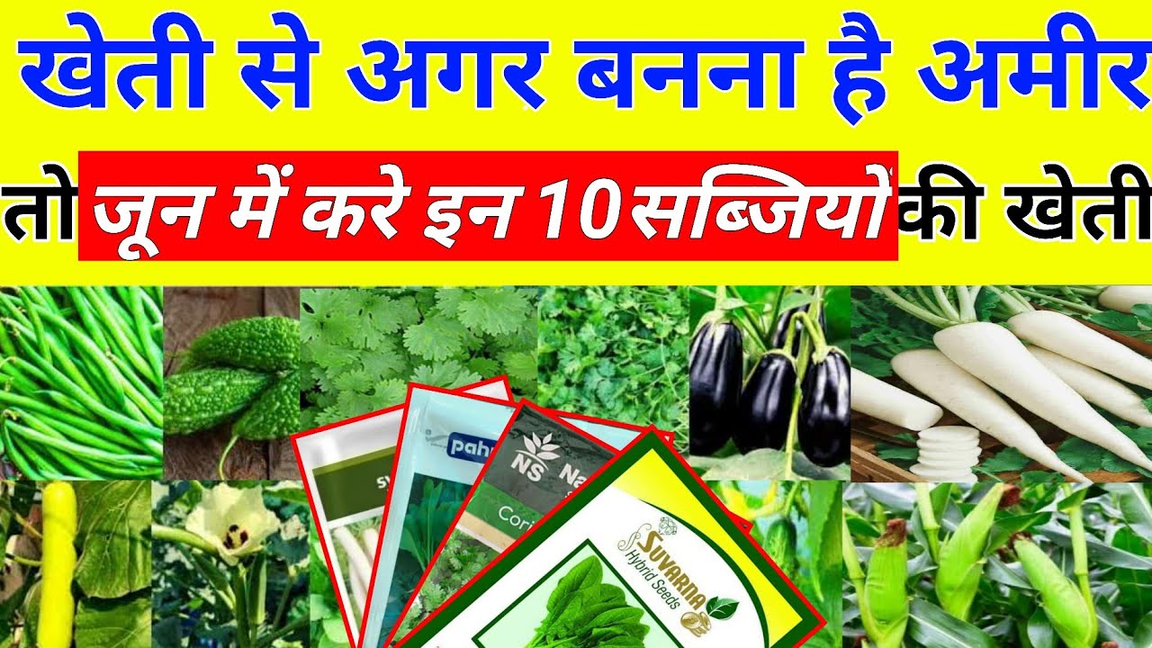 June me konsi sabji lagaye / june me lagai jane wali sabjiya / june me ...