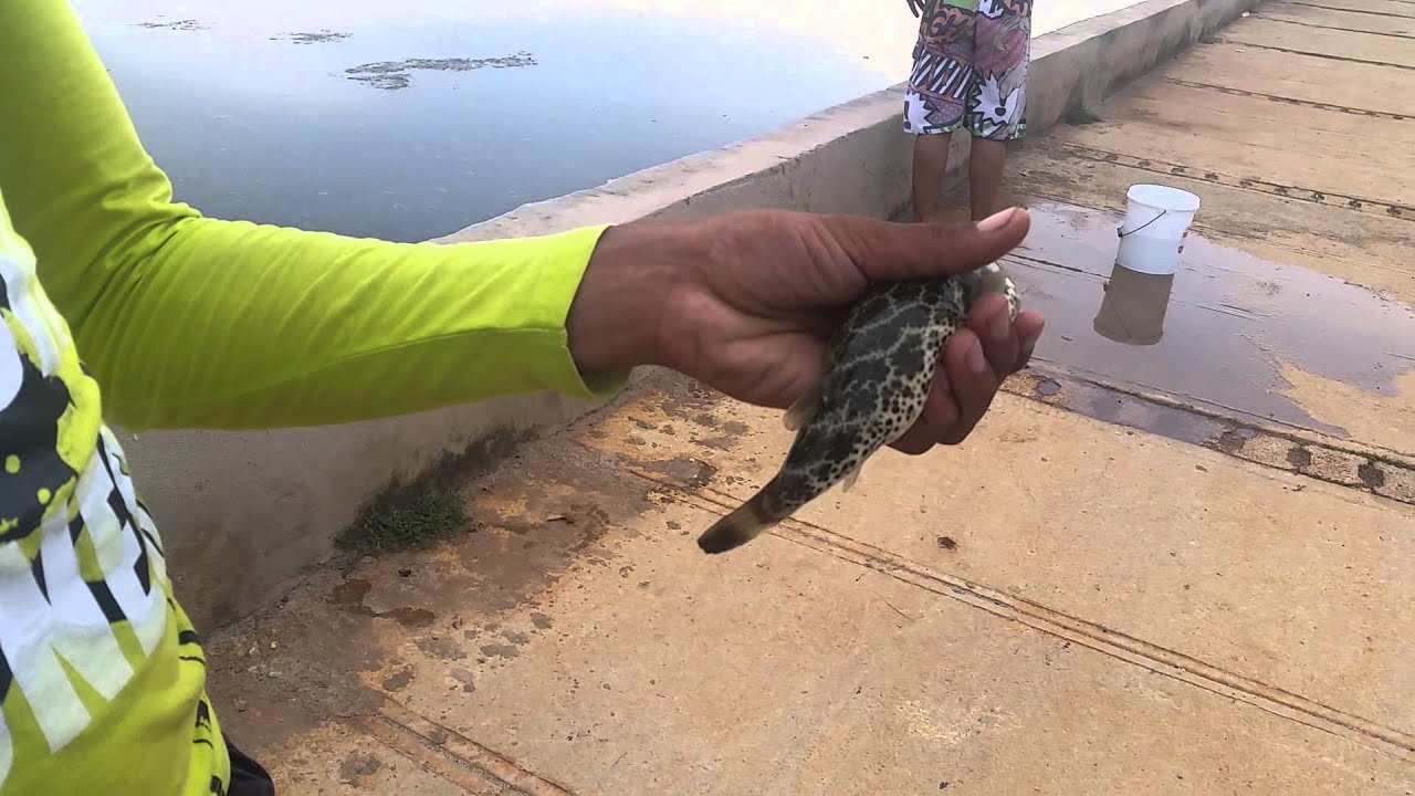 Dogfish Fishing Varadero Cuba - YouTube