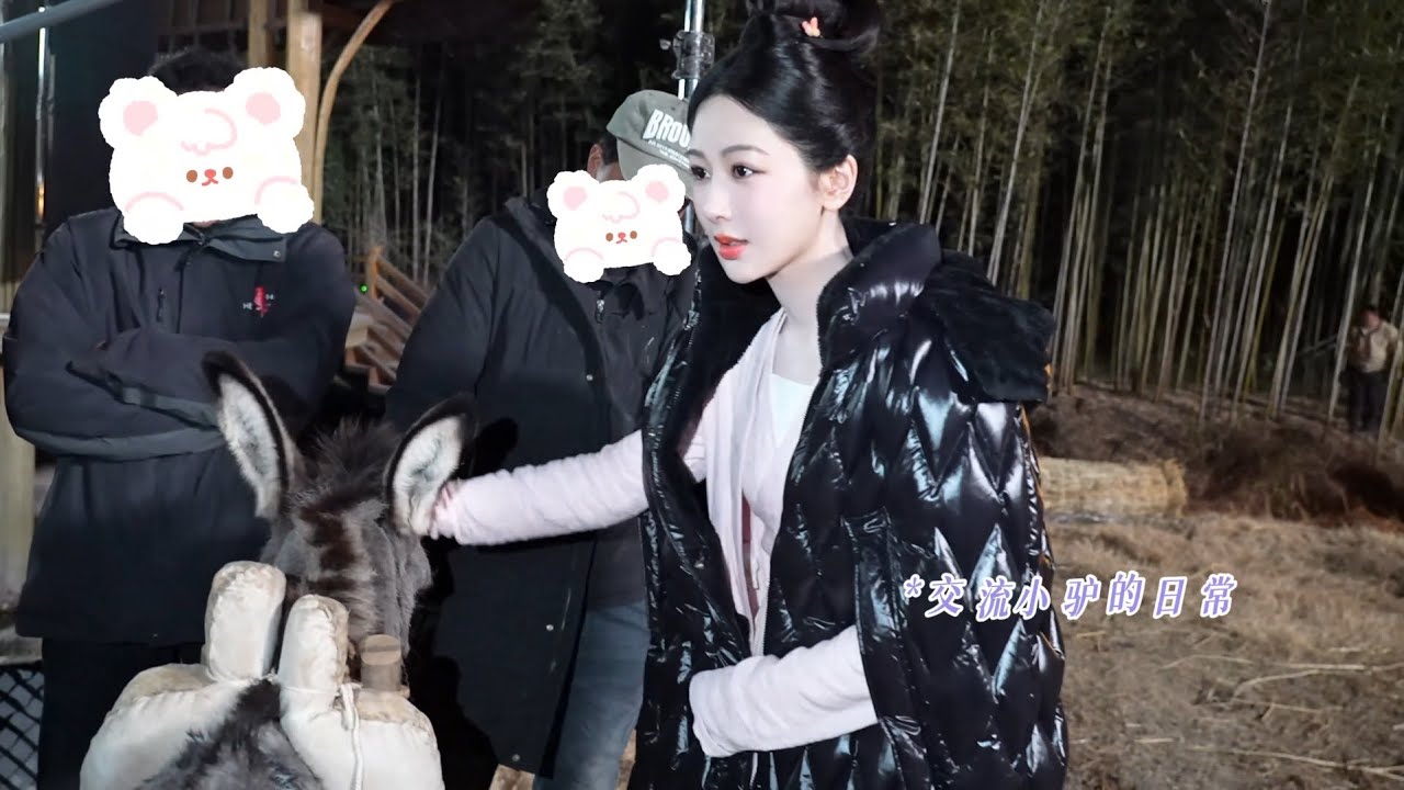 [Flourished Peony 国色芳华 BTS] He Weifang and her donkey - Yang Zi - YouTube