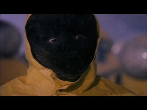 THEY RISE FROM THE DARKNESS TO FEED! 🐀 Rats: Night of Terror (1984) | Post-Apocalyptic Cult Horror