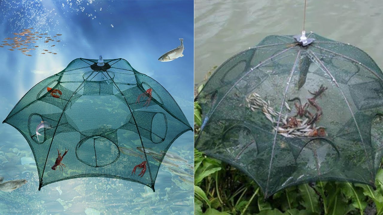 Magic Fishing Net - YouTube