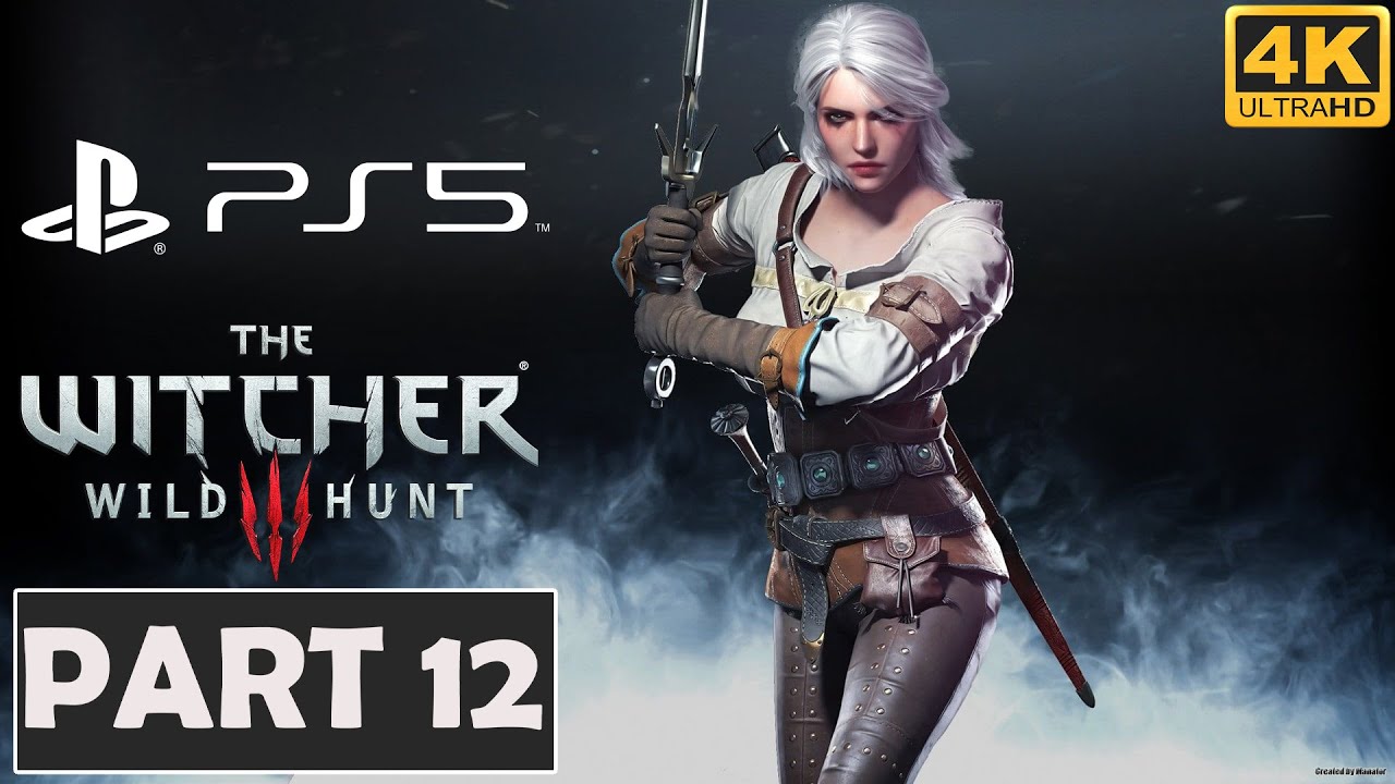 The Witcher 3 Wild Hunt Remastered PS5 GAMEPLAY Walkthrough PART 12 NO ...