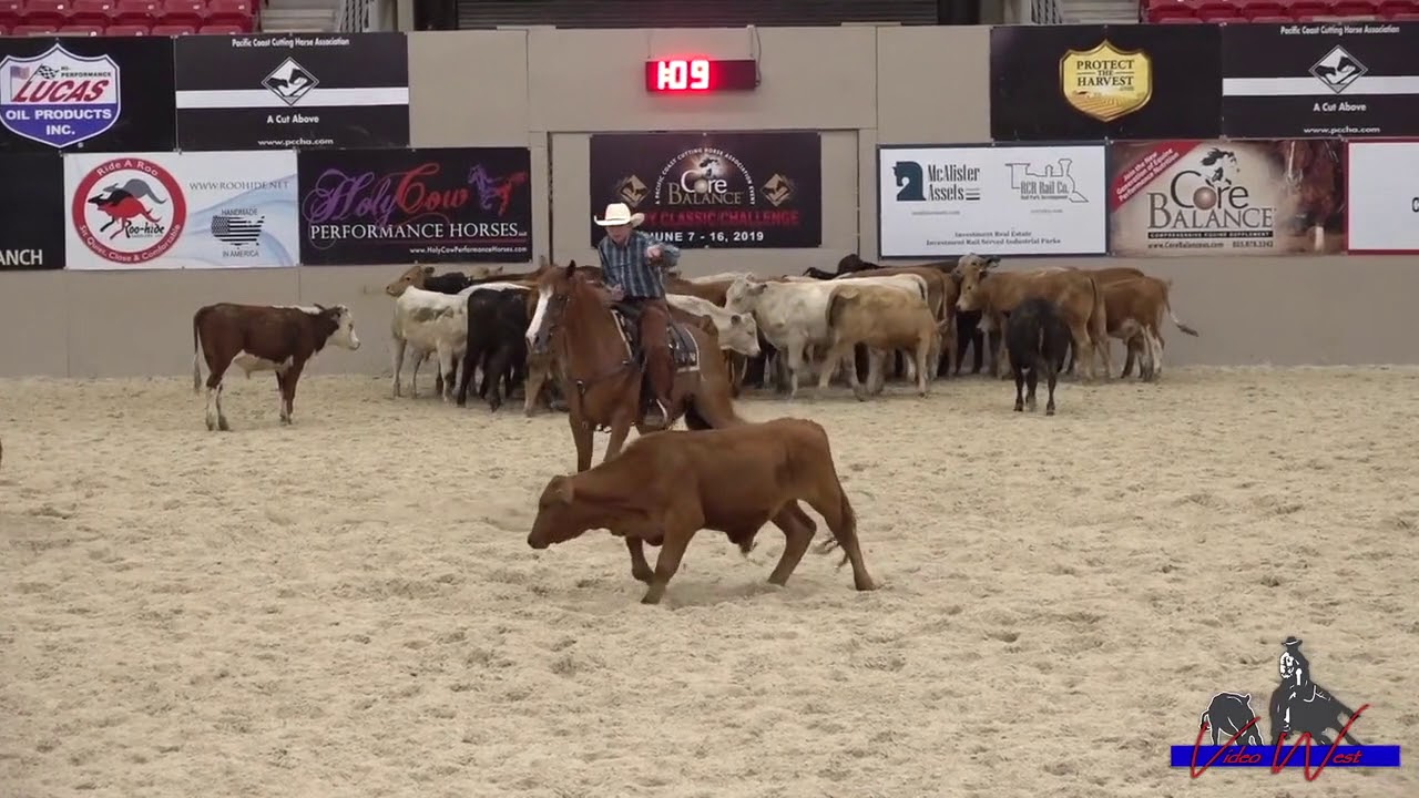 Alamo & Brandon Westfall - YouTube