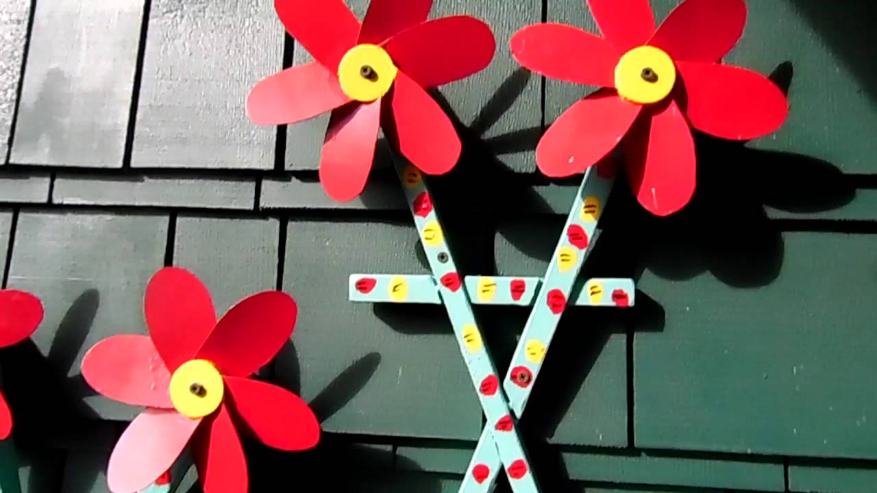 SAM 0543,,whirligig flowers - YouTube
