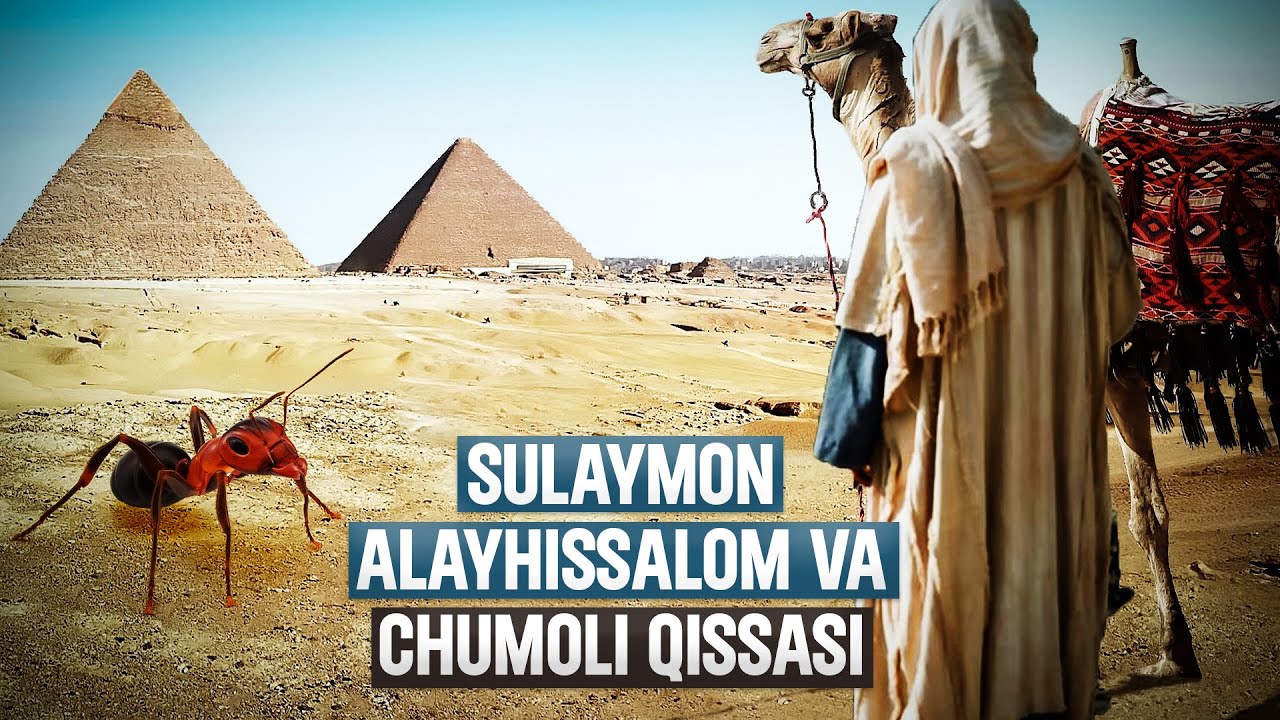 Sulaymon alayhissalom va chumoli qissasi | Ustoz Abdulloh Zufar - YouTube