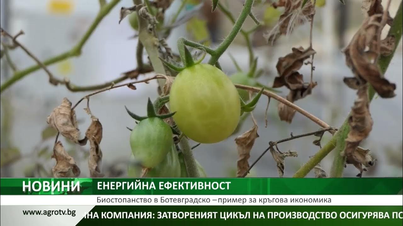 ЕНЕРГИЙНА ЕФЕКТИВНОСТ Биостопанство в Ботевградско пример за кръгова икономика Youtube